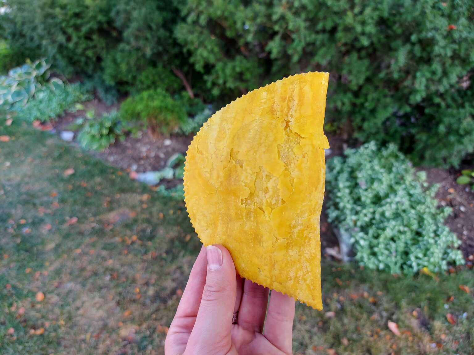 Living history: randy’s patties – Heritage Toronto