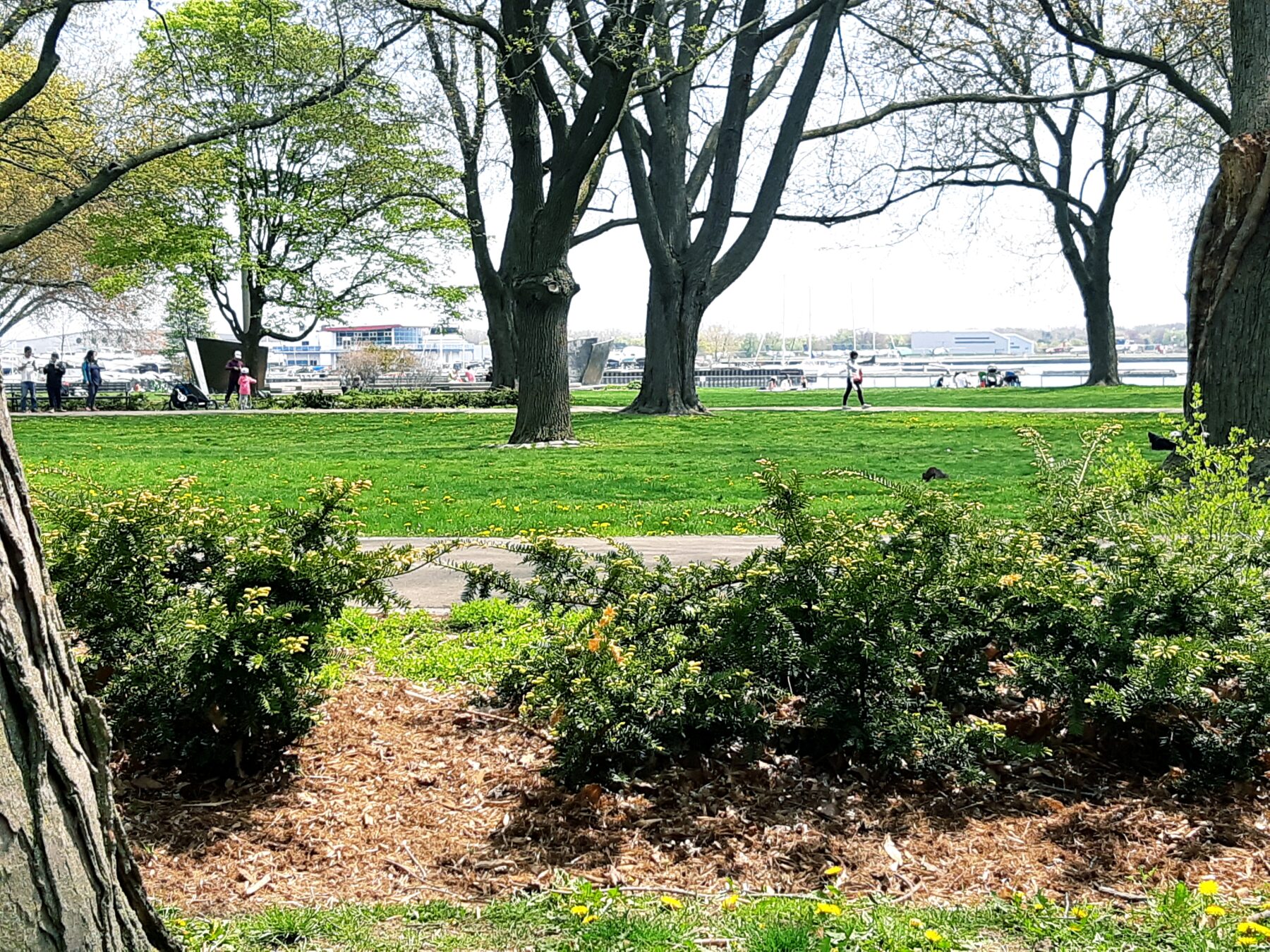 Coronation Park Toronto History – Heritage Toronto